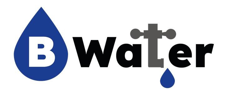 BWater “Agua para el consumo humano en Barcelona: evaluación de la ...