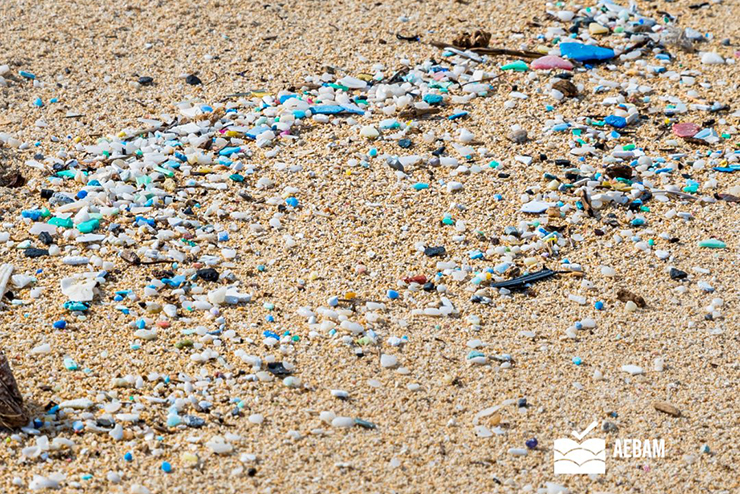 Pélets, el origen de todo - IndustriAmbiente