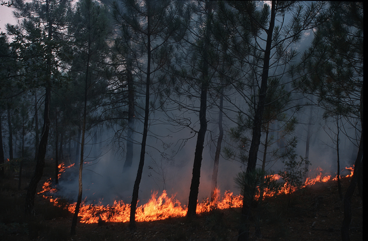 “Sofocar incendios será una tarea cada vez más difícil” - IndustriAmbiente