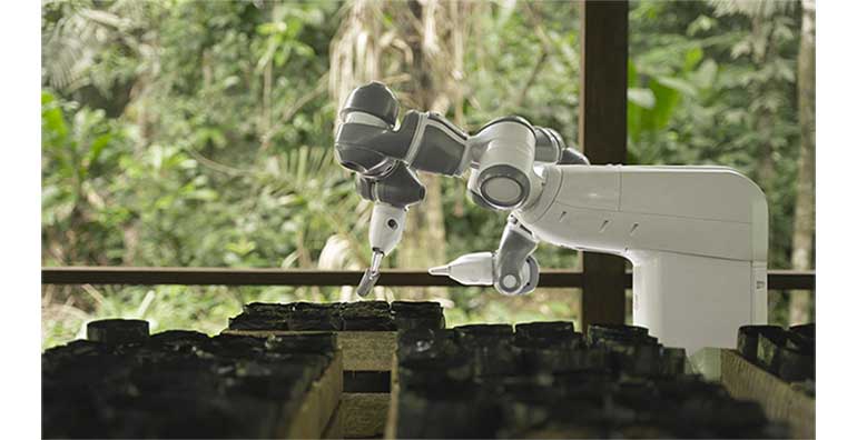 ABB Robotics y Junglekeepers automatizan el proyecto de reforestación ...